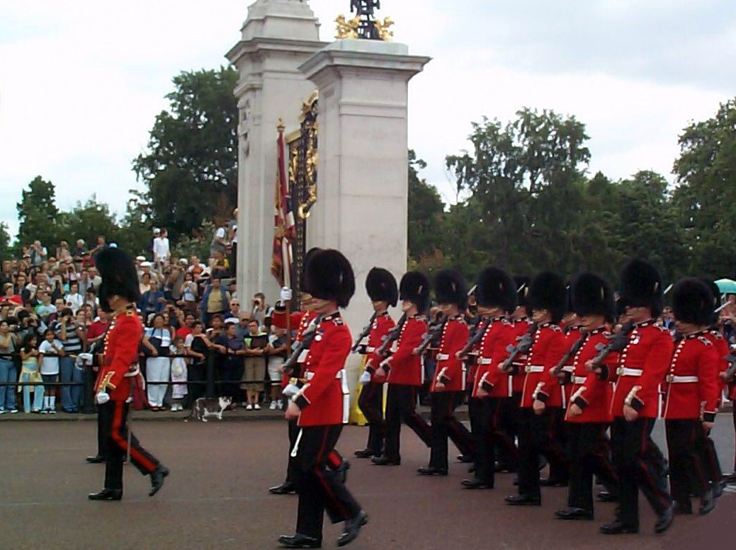 Gracey with Royal Guard - The Tiniest Tiger