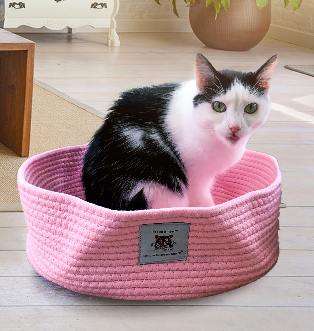 Cotton Rope Cat Bed Giveaway - The Tiniest Tiger