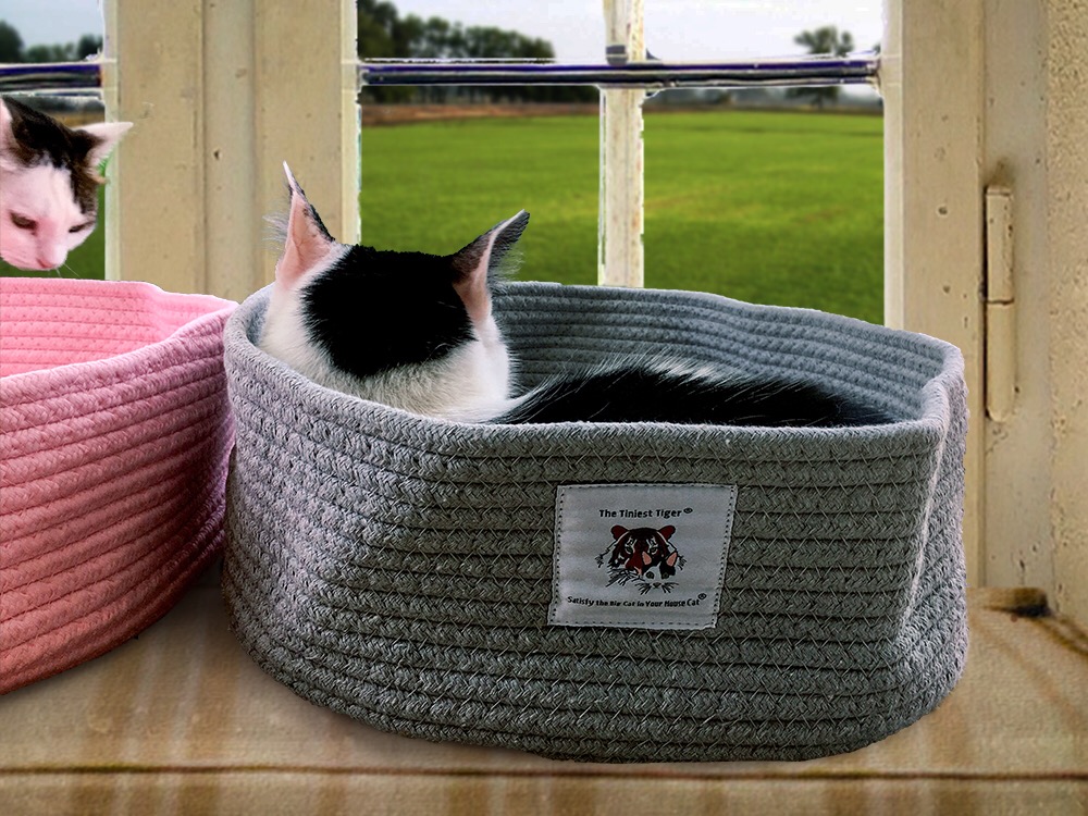 Cotton Rope Cat Bed Giveaway - The Tiniest Tiger