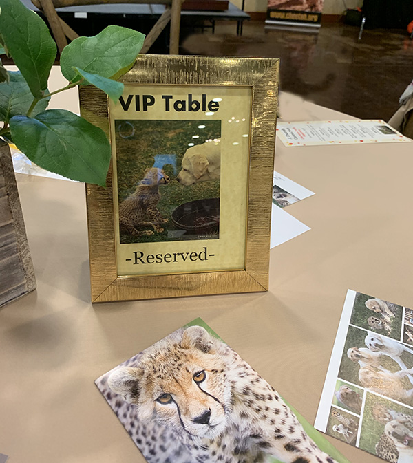 VIP Table CCF 2019 - The Tiniest Tiger