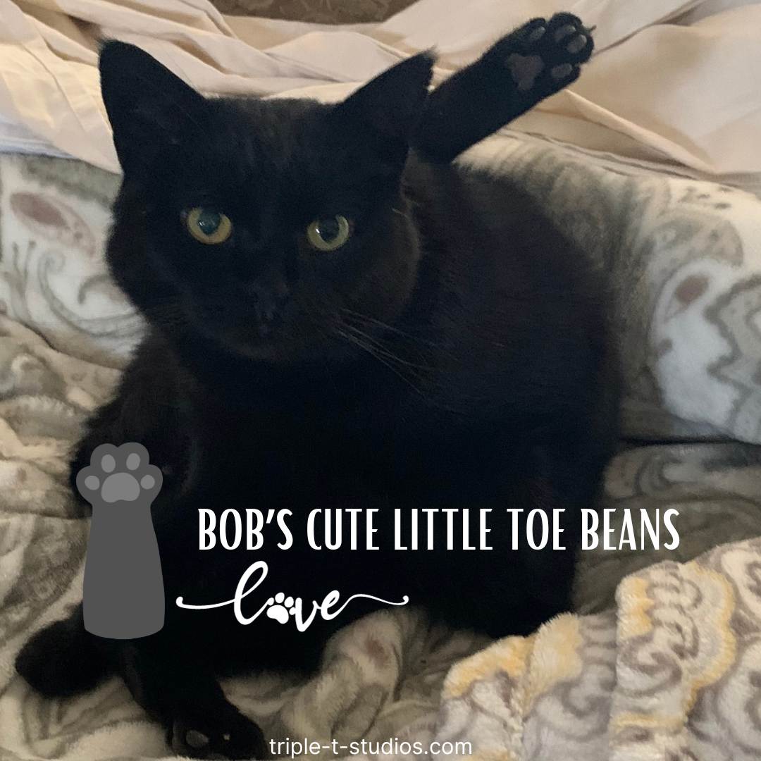 What are Cat Toe Beans? - The Tiniest Tiger