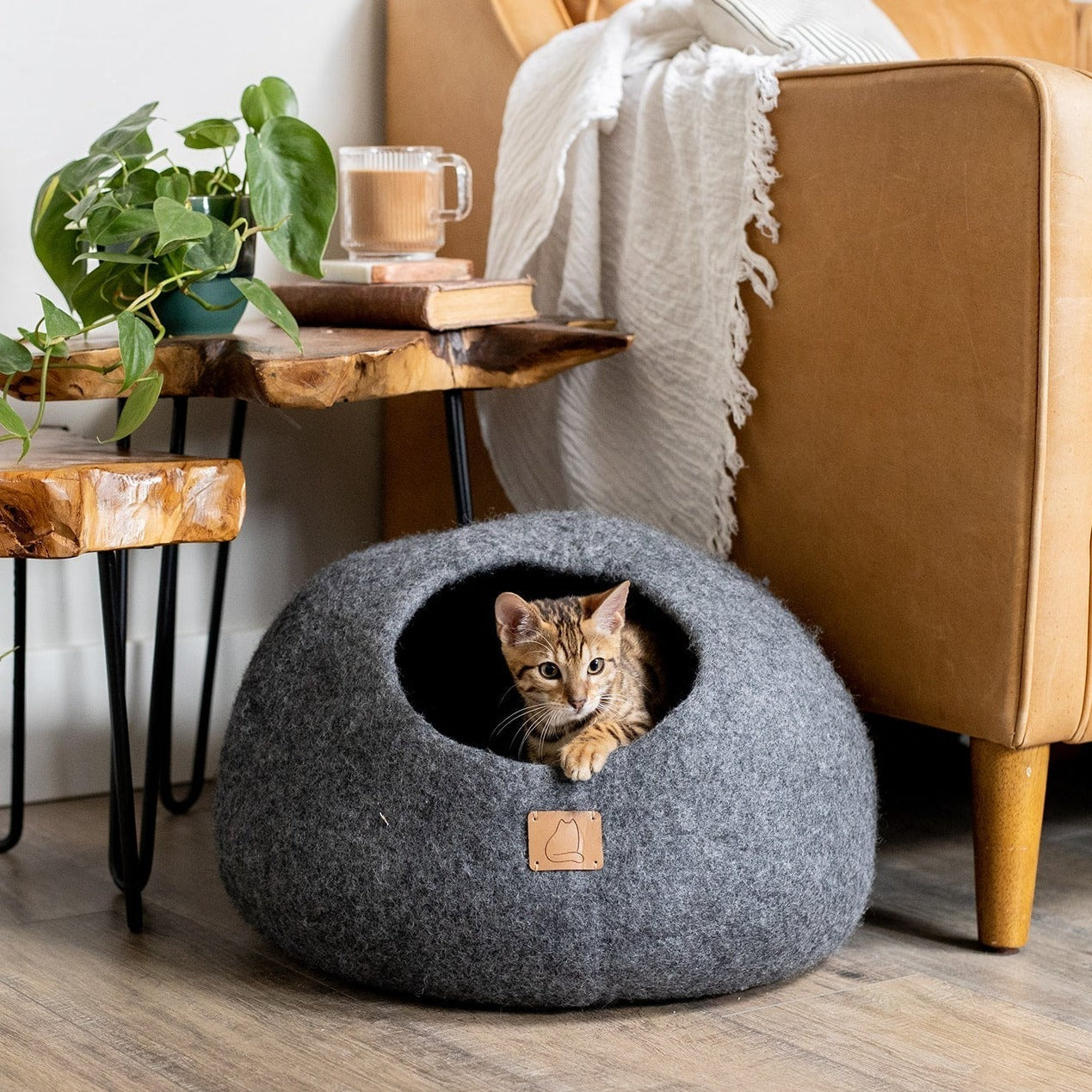 Eco-Friendly Cave Cat Bed Giveaway - The Tiniest Tiger